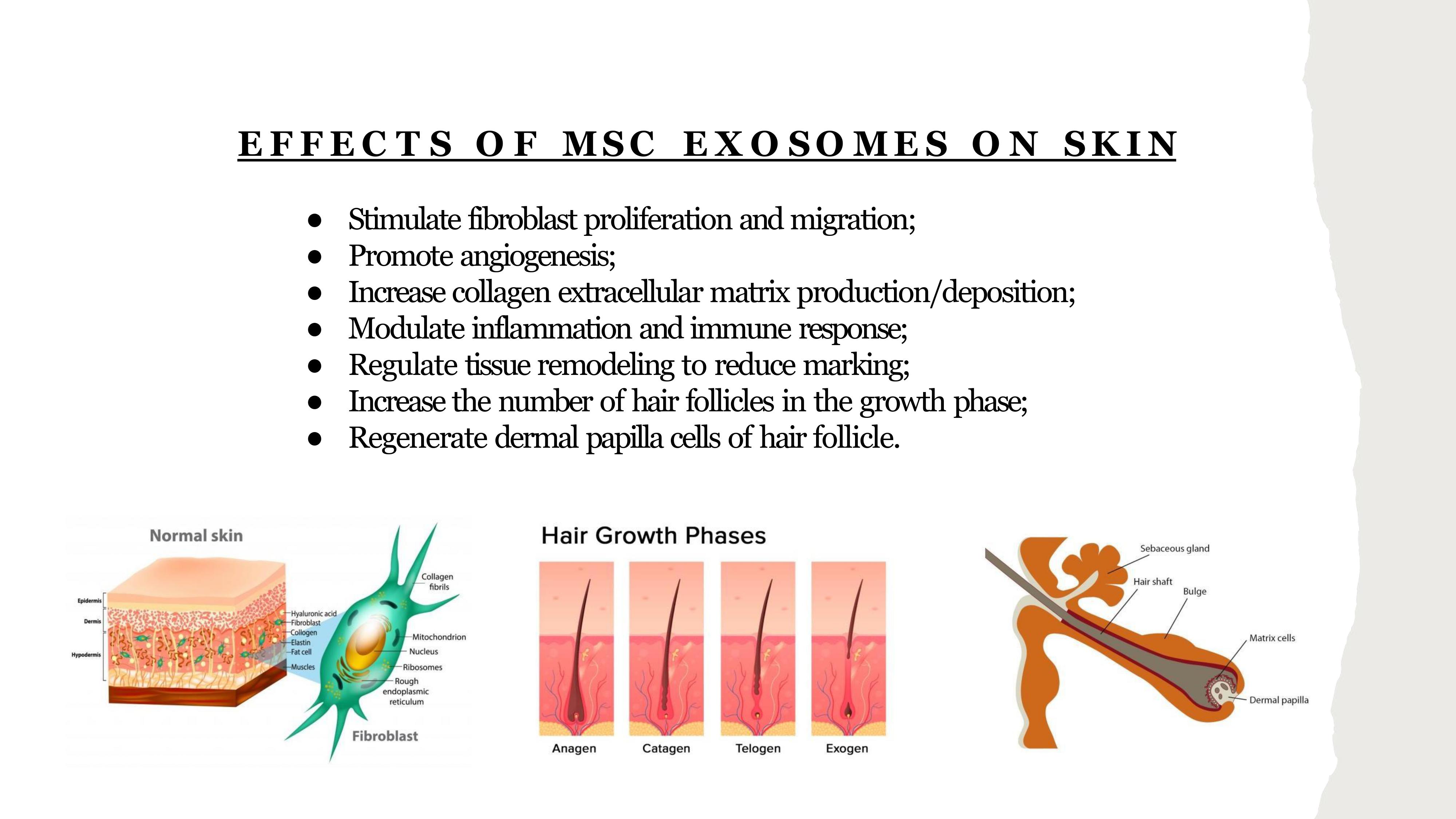 Exxo Labs CFU200 Wellness – Skinlabs Medical